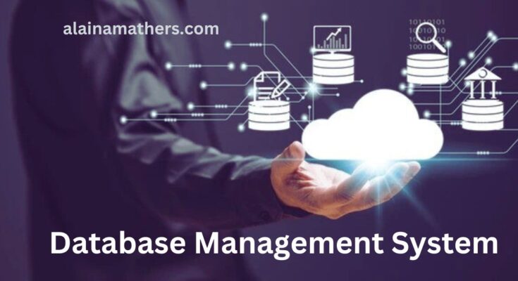 Database Management System for Your Business